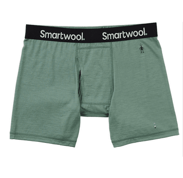 Smartwool Mens Merino Boxer Brief Sage