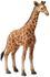 CollectA Wildlife - Reticulated Giraffe Calf #88535
