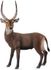 CollectA Wildlife - Waterbuck #88562 - Tall, Elegant Horns