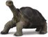 CollectA Pinta Island Tortoise (Lonesome George) #88619