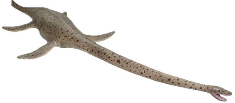 CollectA Dinosaurs - CollectA Thalassomedon by CollectA 88760