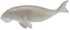 CollectA Sealife - Dugong #88766 - Bottom Feedng Mammal
