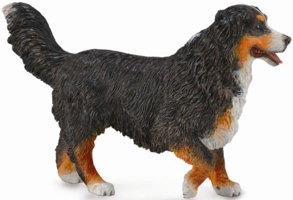 CollectA Dogs and Cats - Bernese Mountain Dog #88801