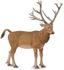 CollectA Pere David's Deer #88829 - Complex Antlers