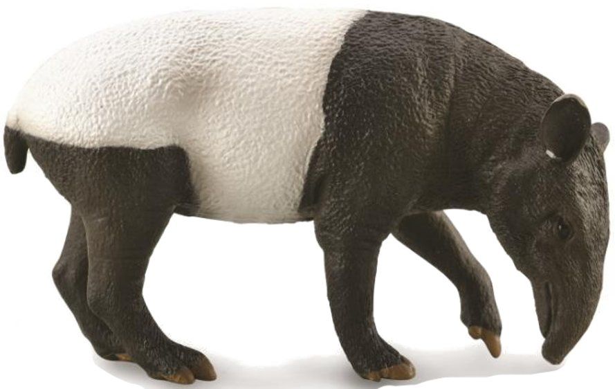 CollectA Malayan Tapir #88881 - Unique Ant Eating Nose