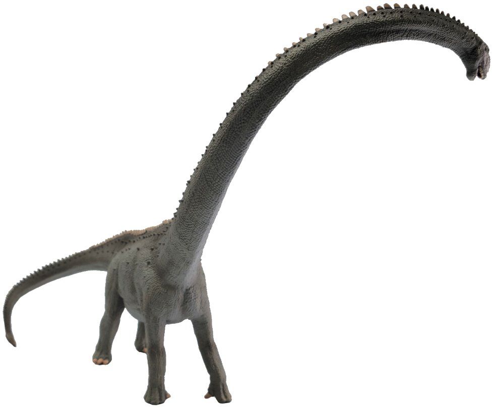 CollectA Dinosaurs - CollectA Mamenchisaurus - 1:100 Scale by CollectA ...