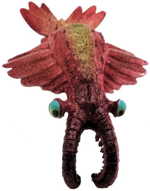 CollectA Anomalocaris #88977 - extinct exotic aquatic animal