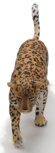 CollectA African Leopard #88866 - Multi-Dimensional Spots