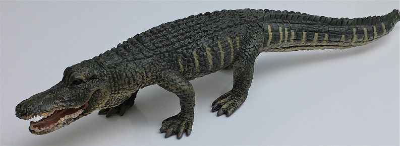 CollectA American Alligator #88609 - Fixed Jaw Model