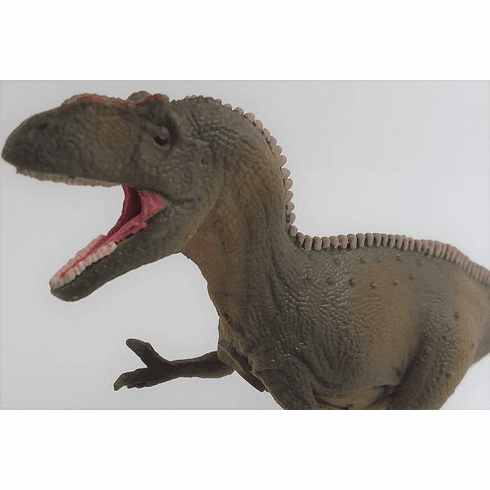 CollectA Allosaurus - Roaring #88888 - Nice green figure.