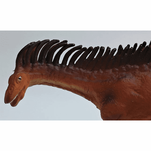 CollectA Amargasaurus (Small version) #88220 - Nice Spikes