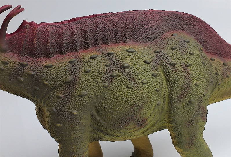 CollectA Amargasaurus Deluxe Model #88556 - Nice Spikes