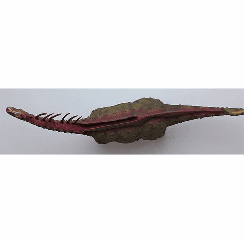 CollectA Amargasaurus Deluxe Model #88556 - Nice Spikes