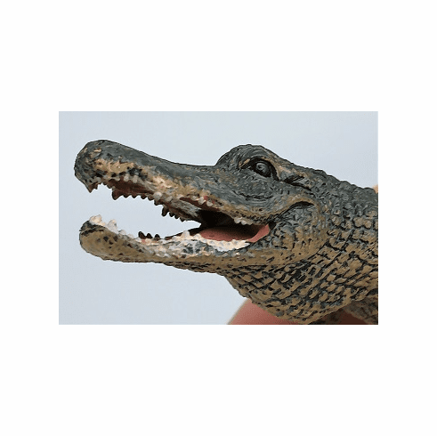 CollectA American Alligator #88609 - Fixed Jaw Model
