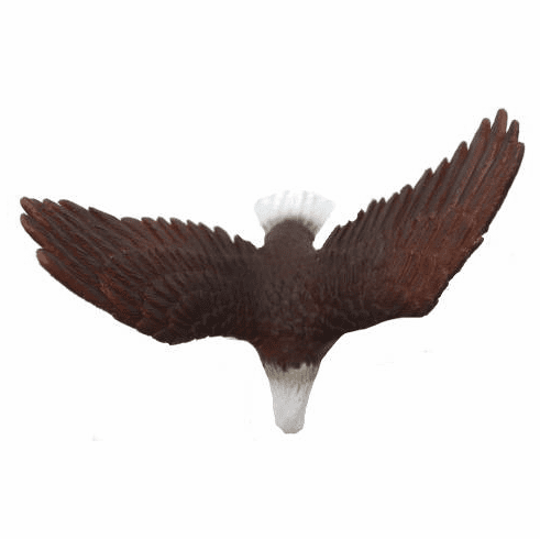 CollectA American Bald Eagle #88383 - Extensive Wingspan