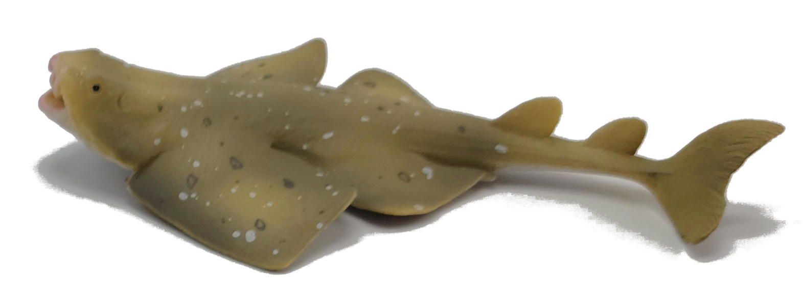 CollectA Sealife - Angel Shark #88999 - bottom feeder
