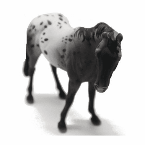 CollectA Appaloosa - Blue Roan #88947 - Truly Beautiful Coat
