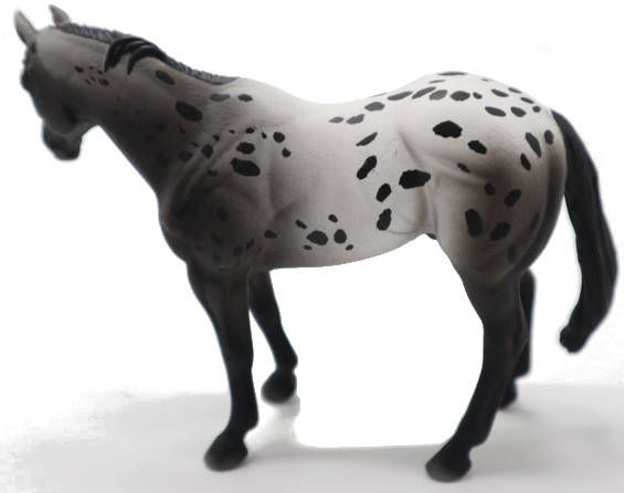 CollectA Appaloosa - Blue Roan #88947 - Truly Beautiful Coat