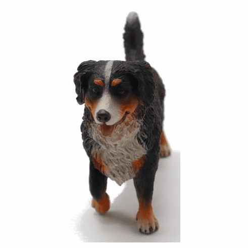 CollectA Bernese Mountain Dog #88801 - High Textured Coat