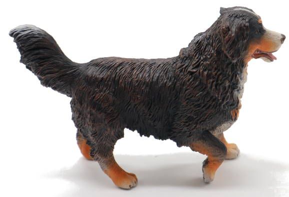 CollectA Bernese Mountain Dog #88801 - High Textured Coat