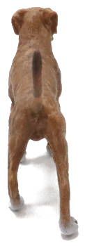 CollectA Dogs - Boxer 88936 - Proud Looking - Chest Extended