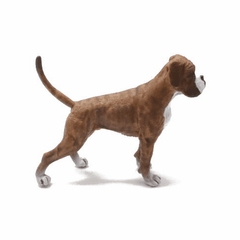 CollectA Dogs - Boxer 88936 - Proud Looking - Chest Extended