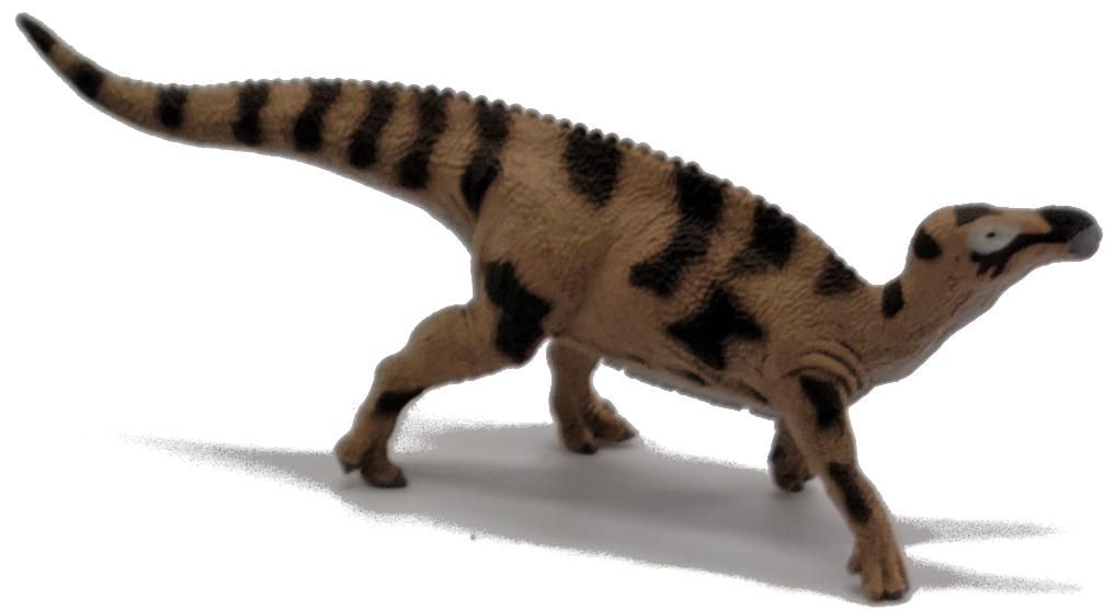 CollectA Brighstoneus # 88973 - bright contrasting stripes