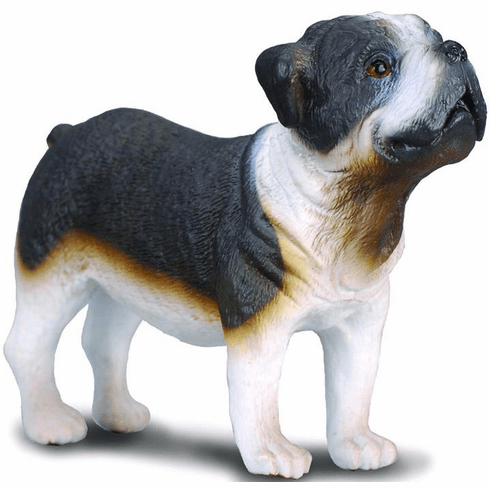 CollectA Dogs and Cats - Bull Dog #88179 - Inquisical Look