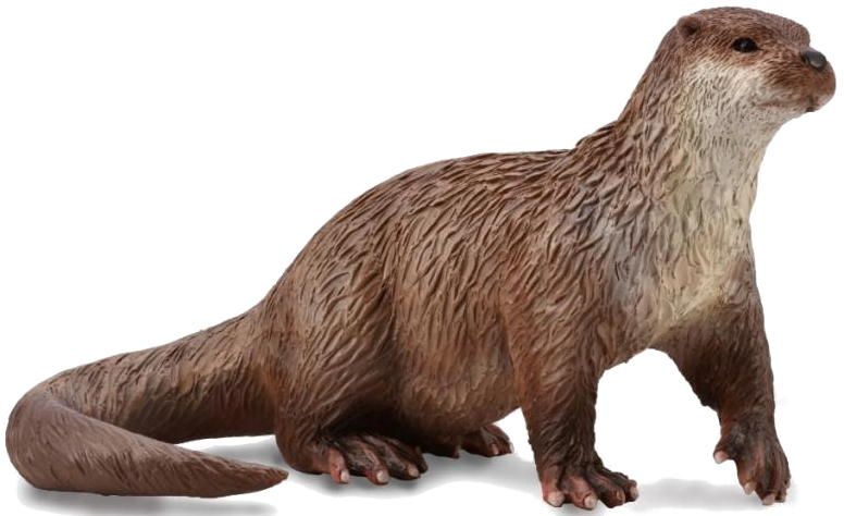 CollectA Wildlife - CollectA Common Otter by CollectA 88941