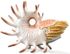 CollectA Dinosaurs - Cooperoceras #88946 - Precision Details