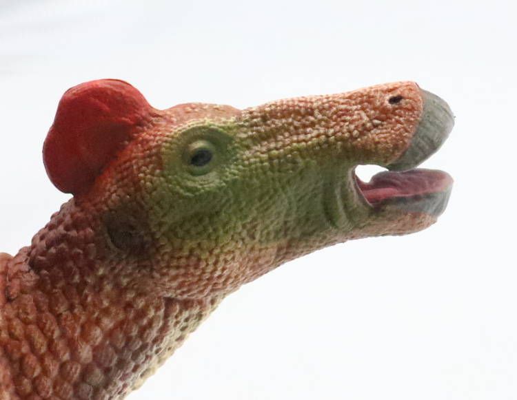 CollectA Dinosaurs - Edmontosaurus #88948 - Vibrant Red Crest