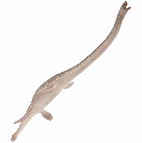 CollectA Dinosaurs - Elasmosaurus #88922 - Elongated Neck