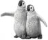 CollectA Emperor Penguin Chicks #88964 - Two Cute Chicks