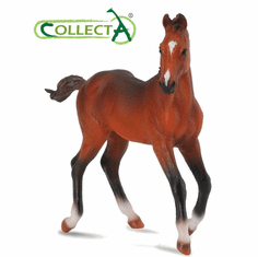 Unleash Your Imagination: Complete CollectA Collection