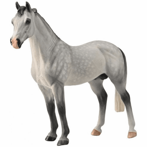 White Hanoverian Horse
