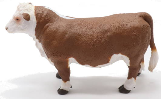 CollectA Hereford Bull - Polled #88861 - Beefy Stance