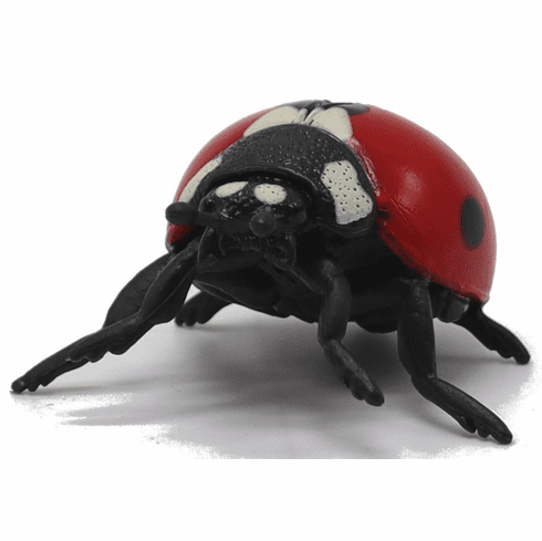 CollectA Wildlife - Ladybird #88474 - Gardening Friend