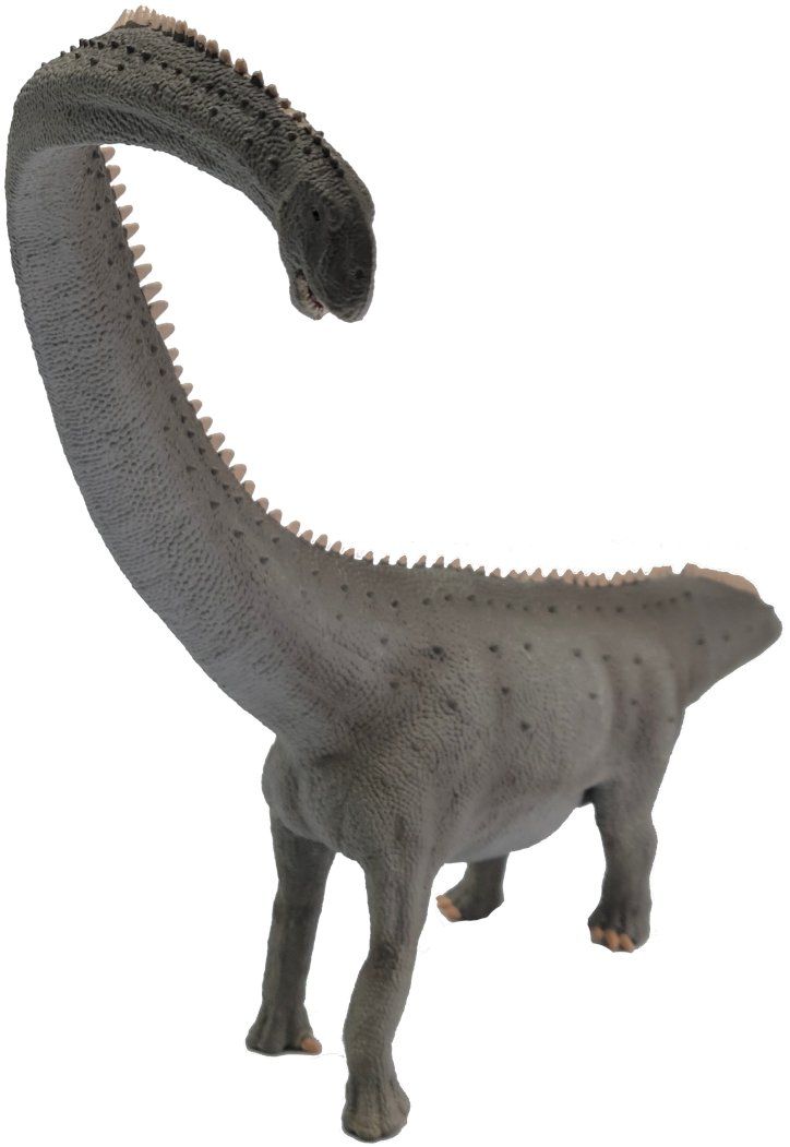 CollectA Dinosaurs - CollectA Mamenchisaurus - 1:100 Scale by CollectA ...
