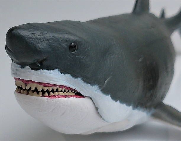CollectA Megalodon #88887 - Moveable jaw - New 2021