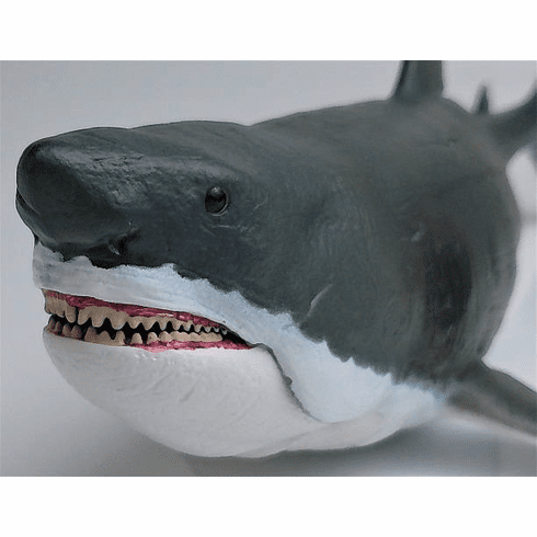 CollectA Megalodon #88887 - Moveable Jaw - New 2021