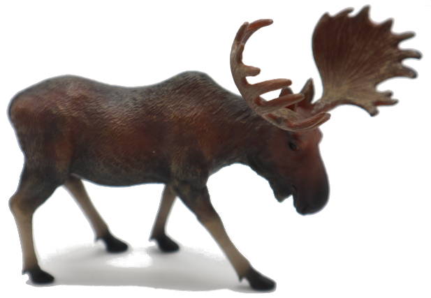 CollectA Moose Bull #88335 - Impressive Rack Extension