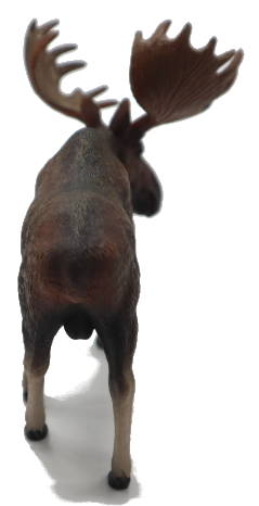 CollectA Moose Bull #88335 - Impressive Rack Extension