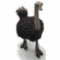 CollectA Ostrich #88459 - The largest Flightless Bird