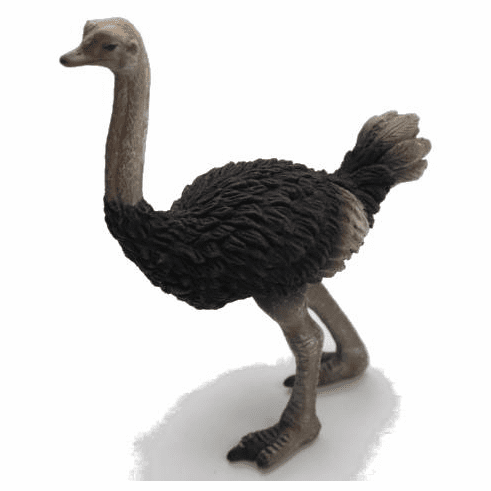 CollectA Ostrich #88459 - The largest Flightless Bird