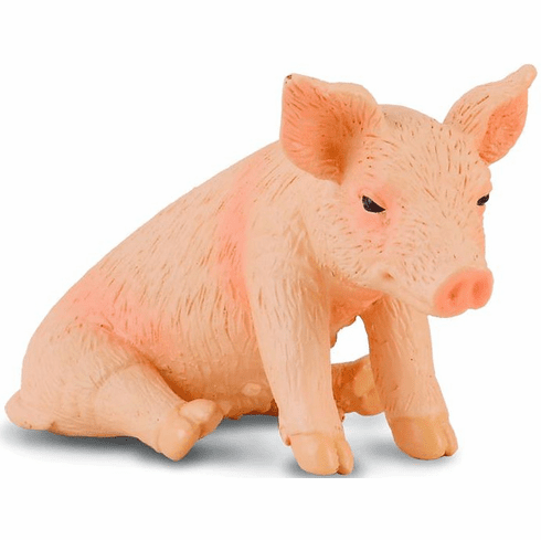 CollectA Farm Animals - Piglet #88345 - Sitting on its Rump
