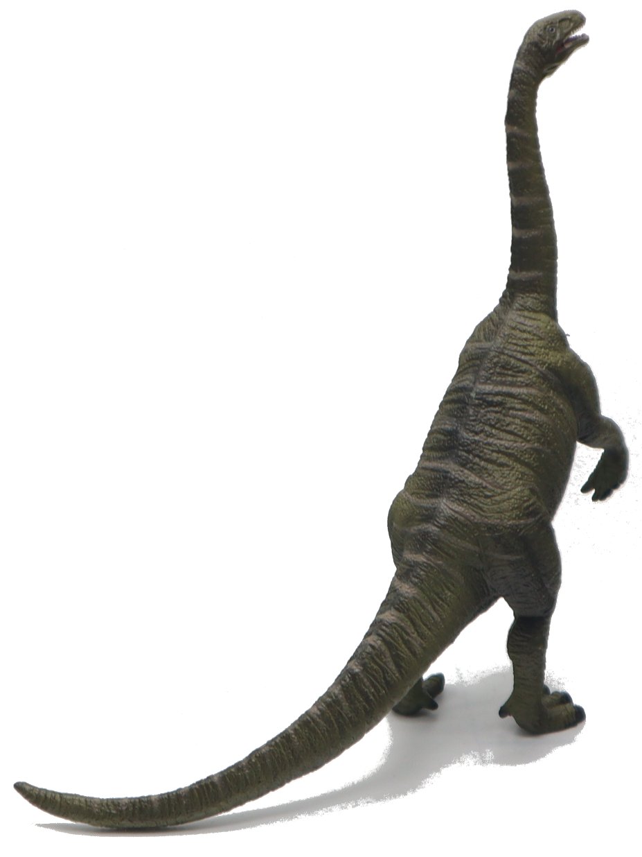 CollectA Dinosaurs - Plateosaurus #88513 - Hind Leg Standing