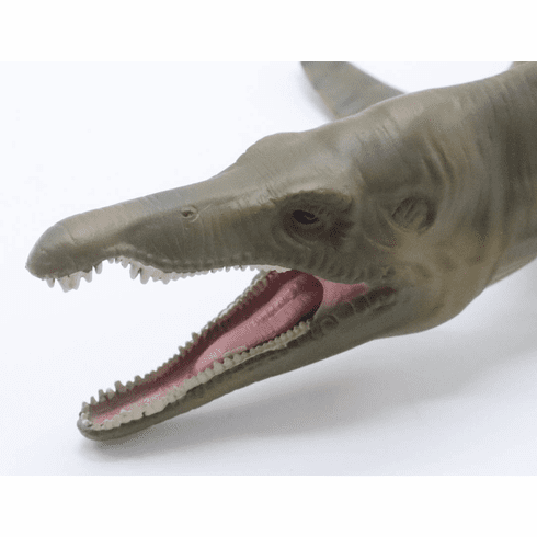CollectA Pliosaurus Dinosaur Deluxe - 1:40 Scale #88699