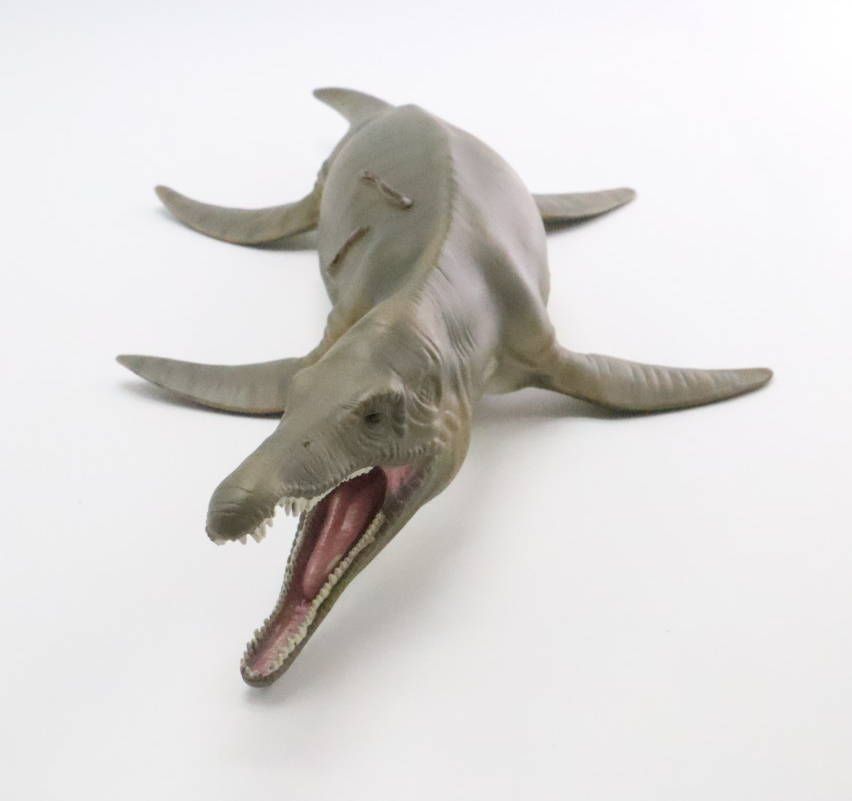 CollectA Pliosaurus Dinosaur Deluxe - 1:40 Scale #88699