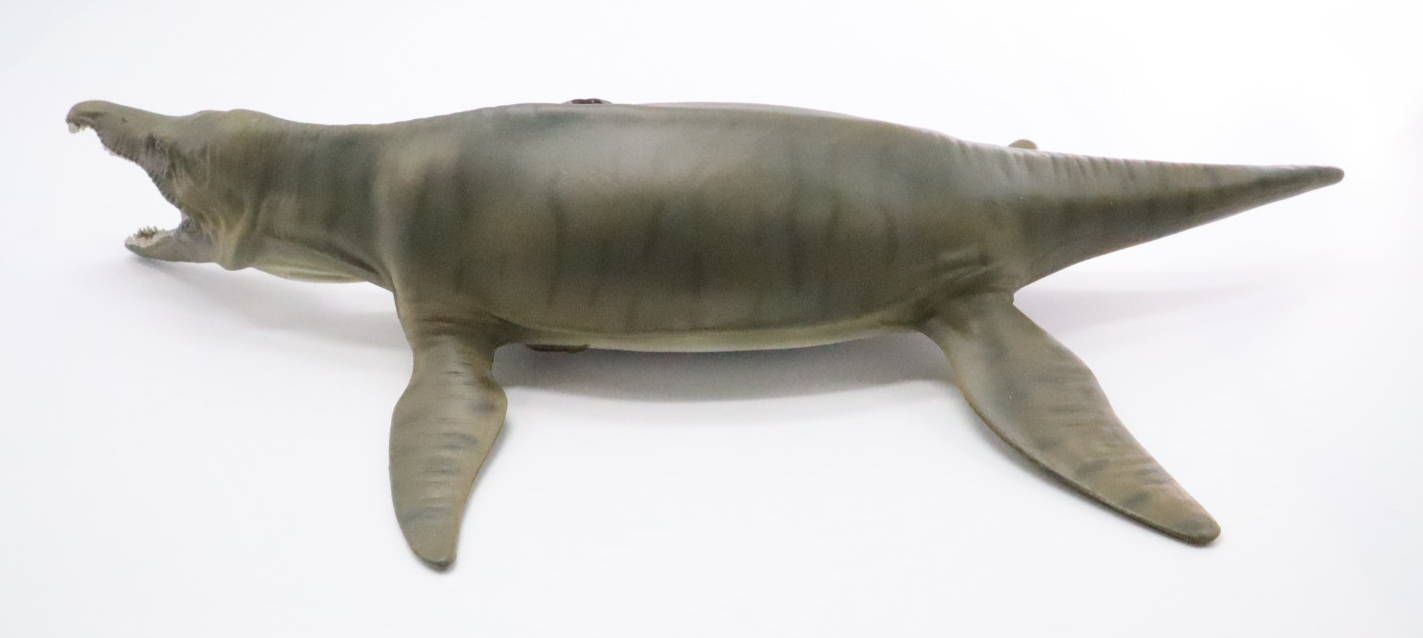 CollectA Pliosaurus Dinosaur Deluxe - 1:40 Scale #88699