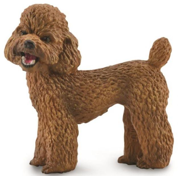 CollectA Dogs - Poodle 88880 - tight curly hair and attitude